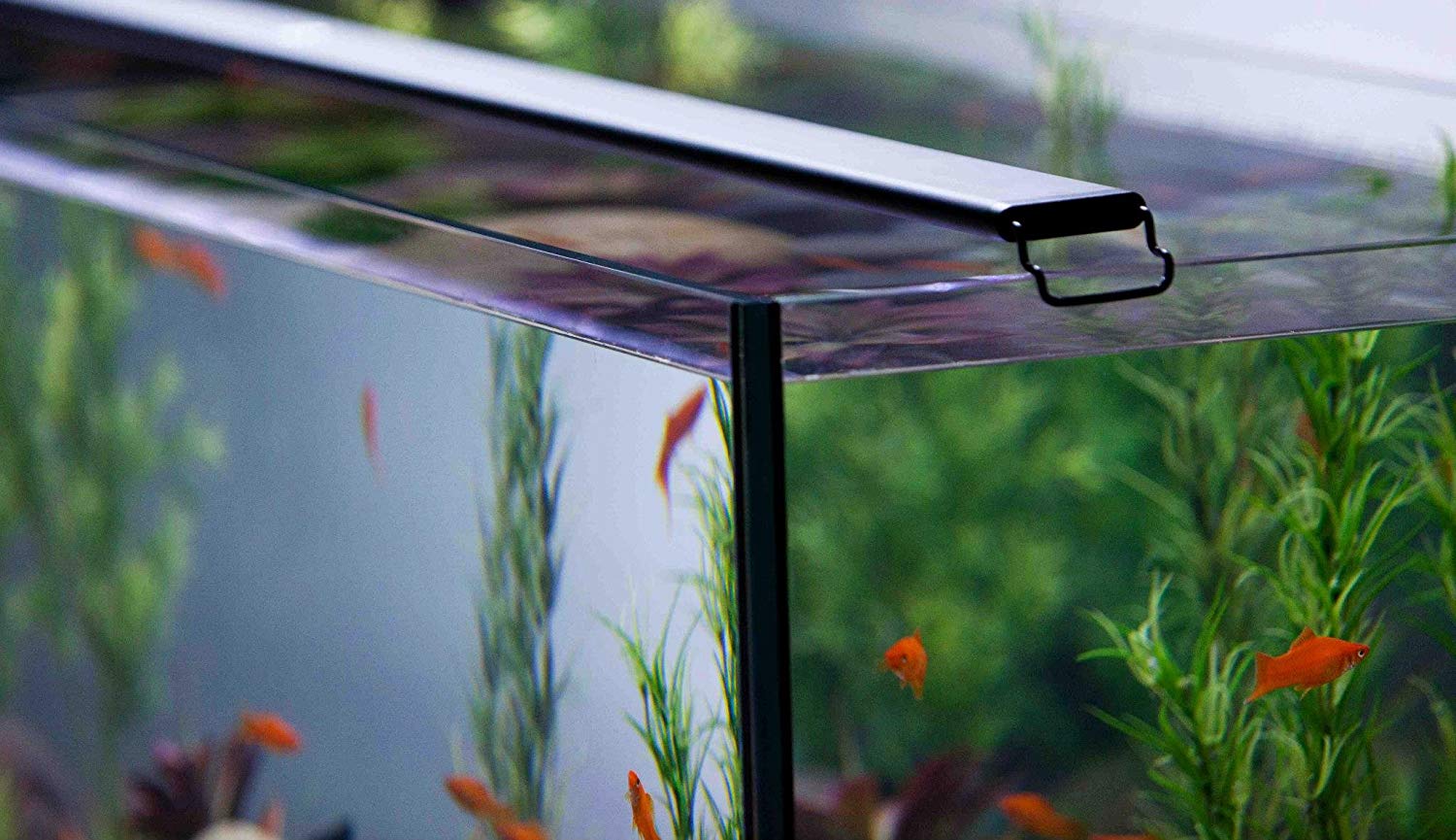 Best LED Aquarium Light Buying Guide-For Fish Tank & (Reviews 2020)