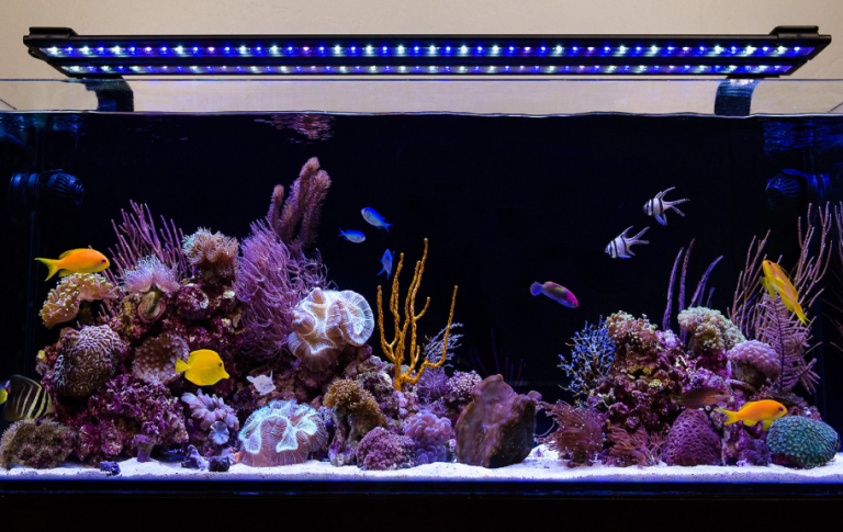 Current USA Orbit Marine Aquarium LED Light - Best Reviews