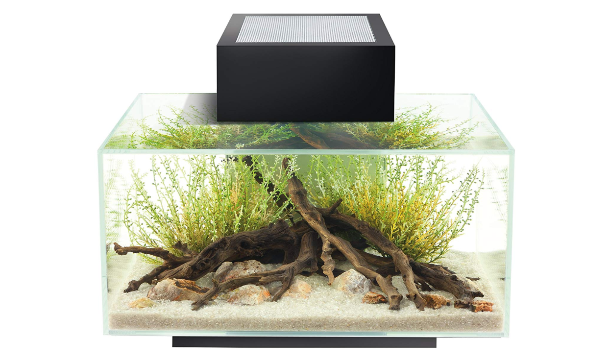 Fluval Edge 6 Gallon Aquarium - Reviews On Fluval Fish Tanks 2019