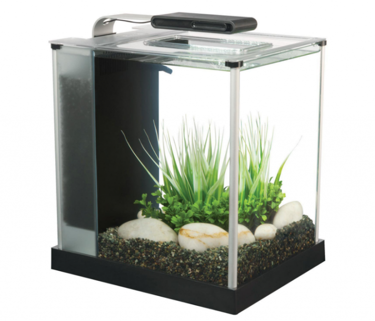Best 3 Gallon Fish Tanks To Get For Your Fish In 2019