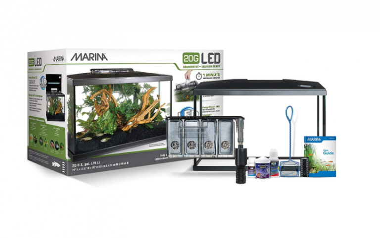 Marina LED Aquarium Kit Reviews: 5/10/20 Gallon Variants