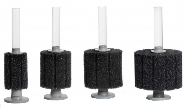 A Complete Aquarium Sponge Filter Guide - Functions & Merits
