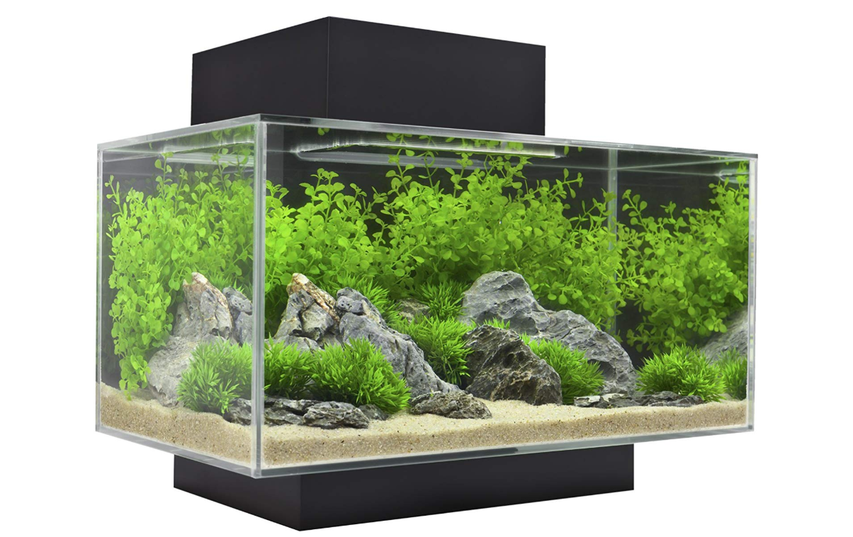 Best Nano Aquariums: 5 Nano Tanks Reviews 2019