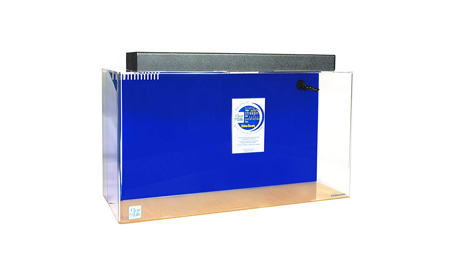 Best 60 Gallon Aquarium Reviews and Guide {Setup Ideas & Top Picks}