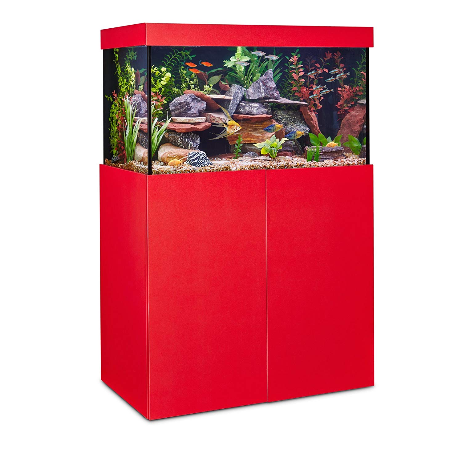 Best 40 Gallon Fish Tank Reviews and Setup Guide {Top Picks 2019}