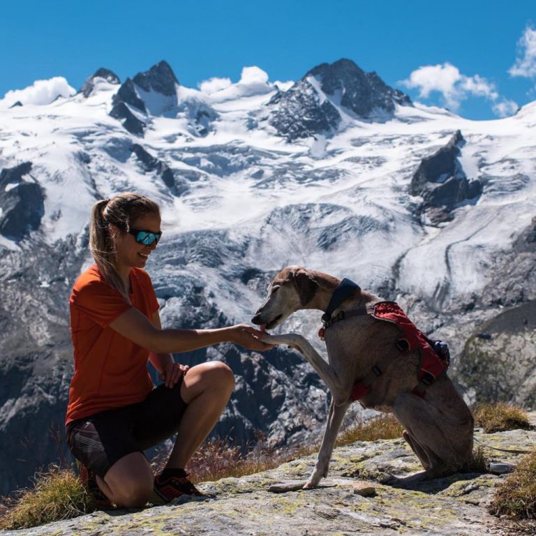 Azawakh Dog (History, Characteristics, Personality & More)