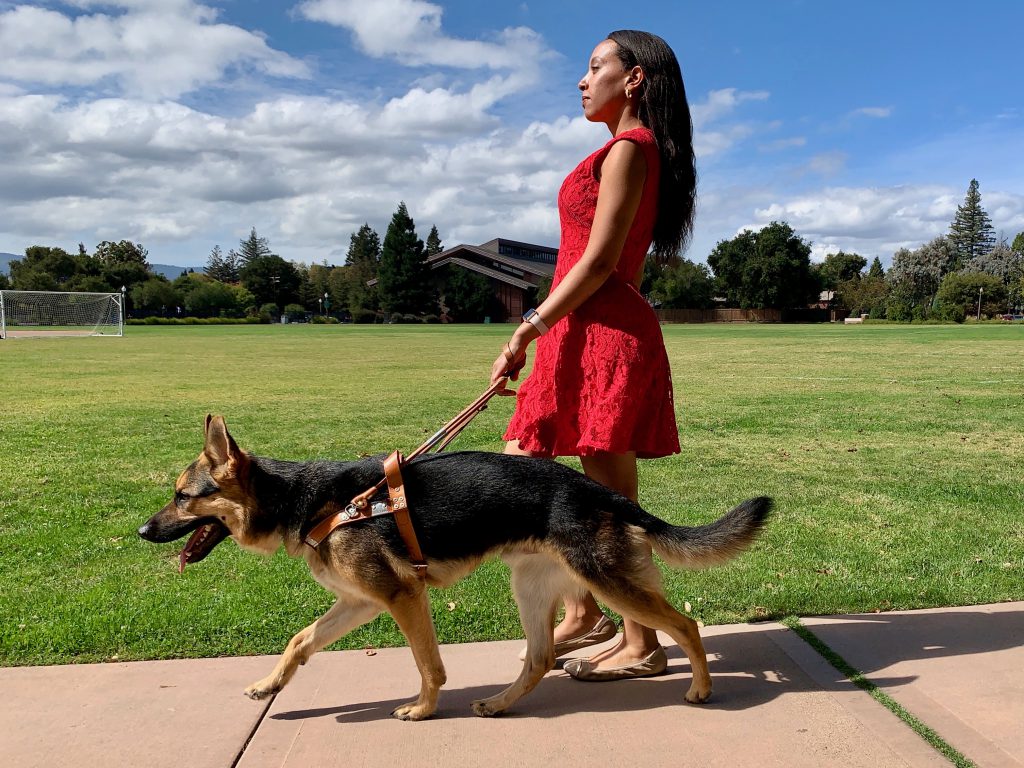 Dog Guide - Complete Best Information for Pet Dog