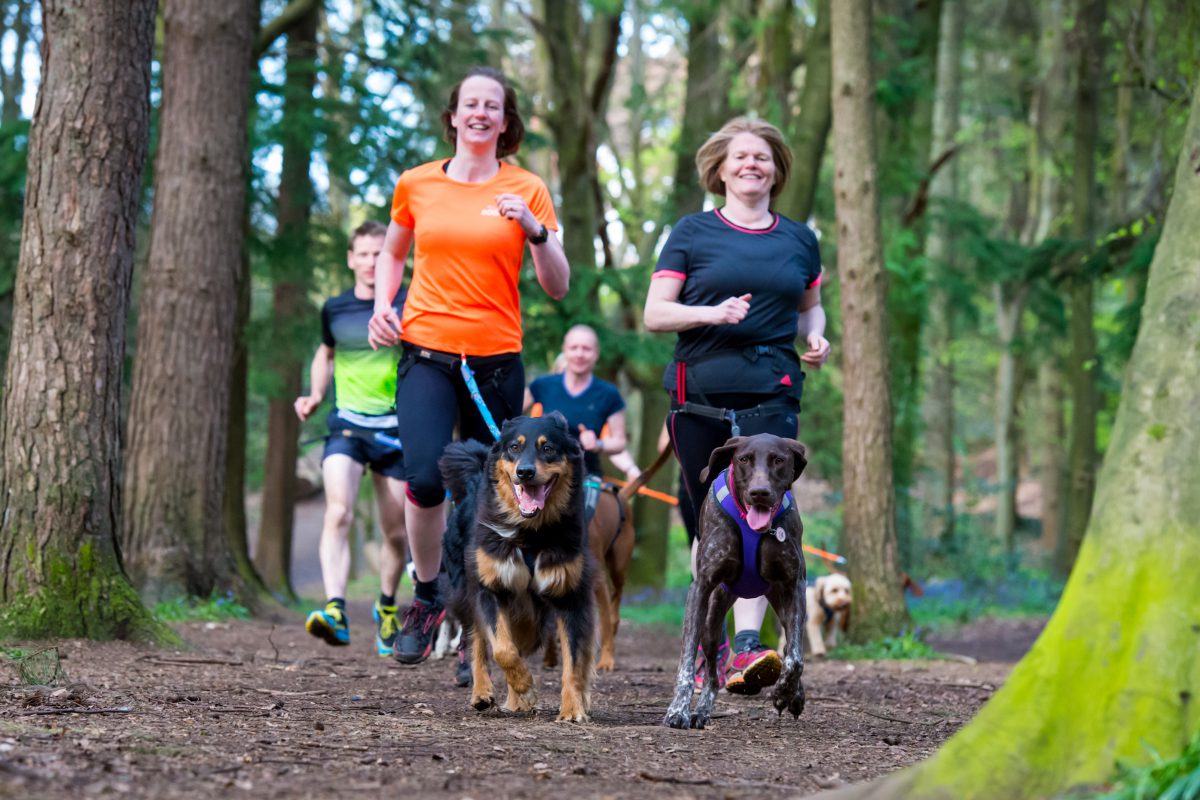 Dog Running | Best Information About Running With Your Dog