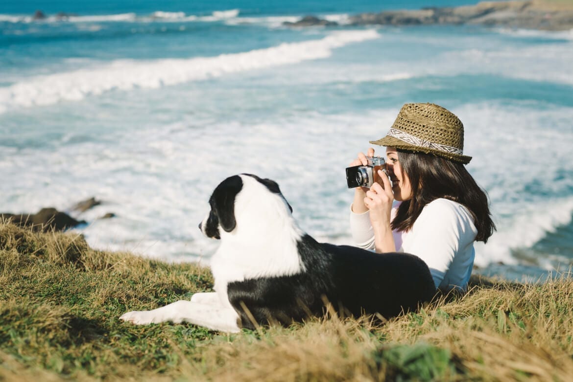 Traveling With Dog Complete Guide Information