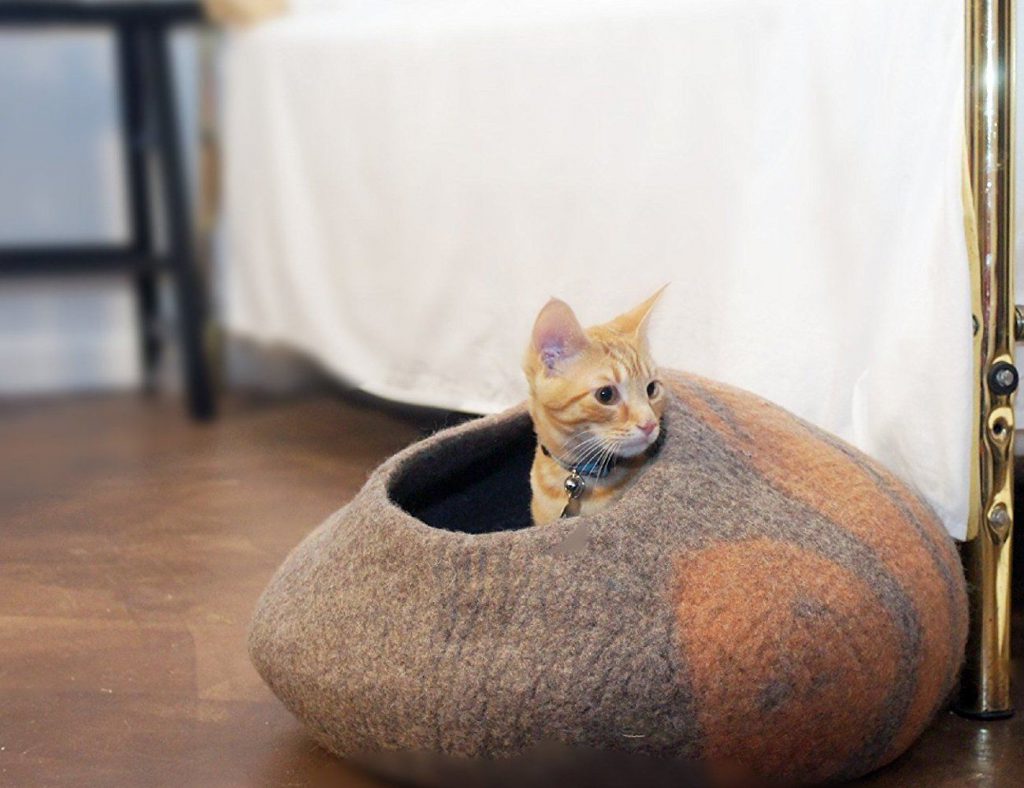 Cat Accessories For Your Cute Cat Full Guide In 2020