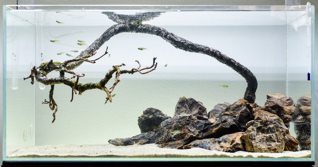Rock in Aquascaping | Best Aquarium Hardscape Rock and Wood